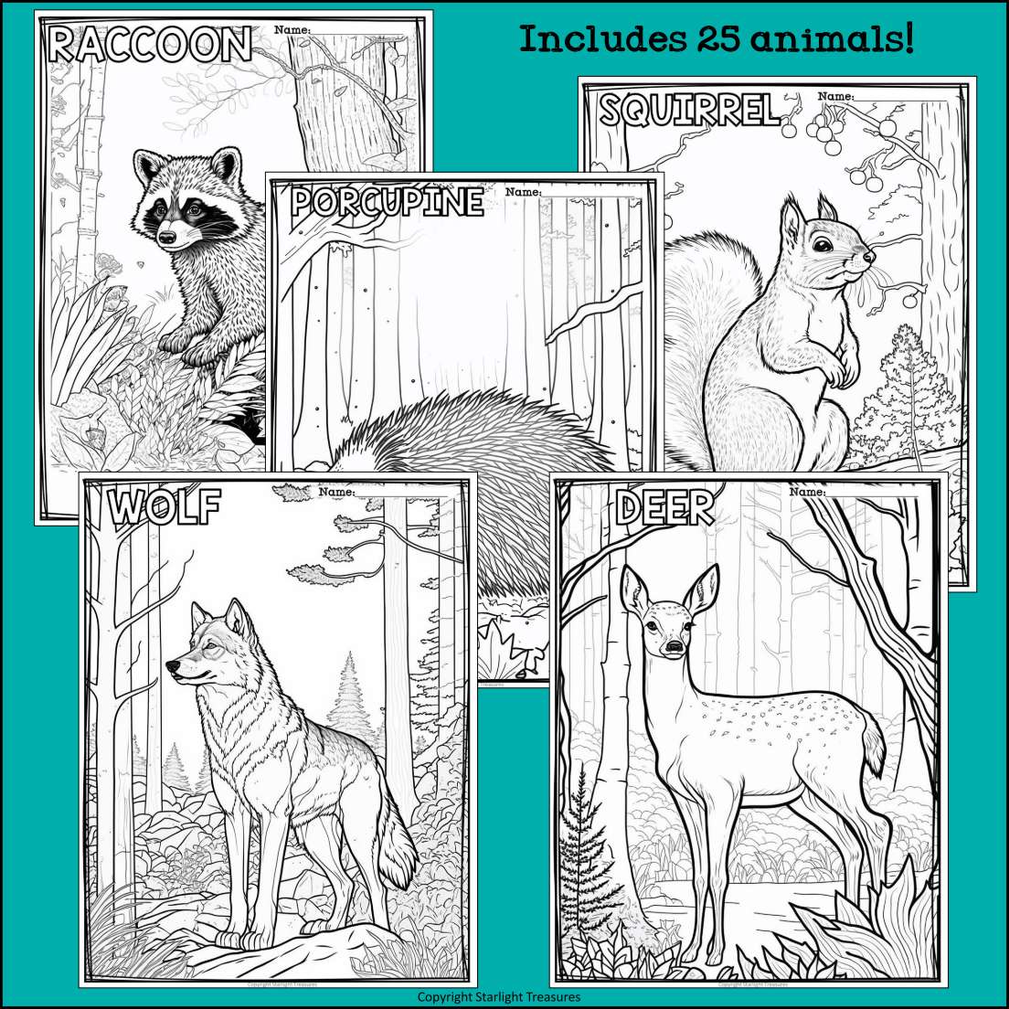 Woodland Animals Research Posters, Coloring Pages - Animal Research ...