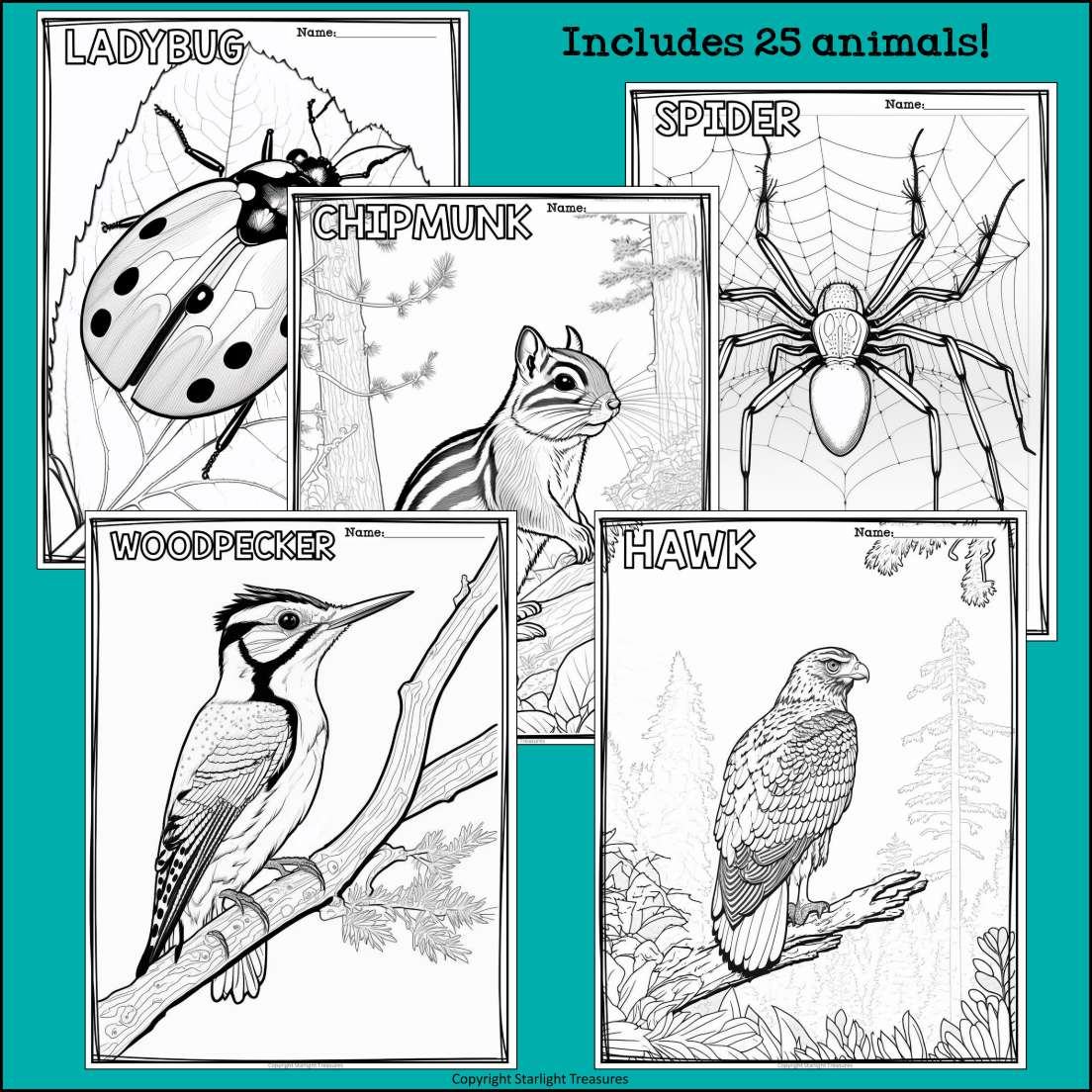 Woodland Animals Research Posters, Coloring Pages - Animal Research ...