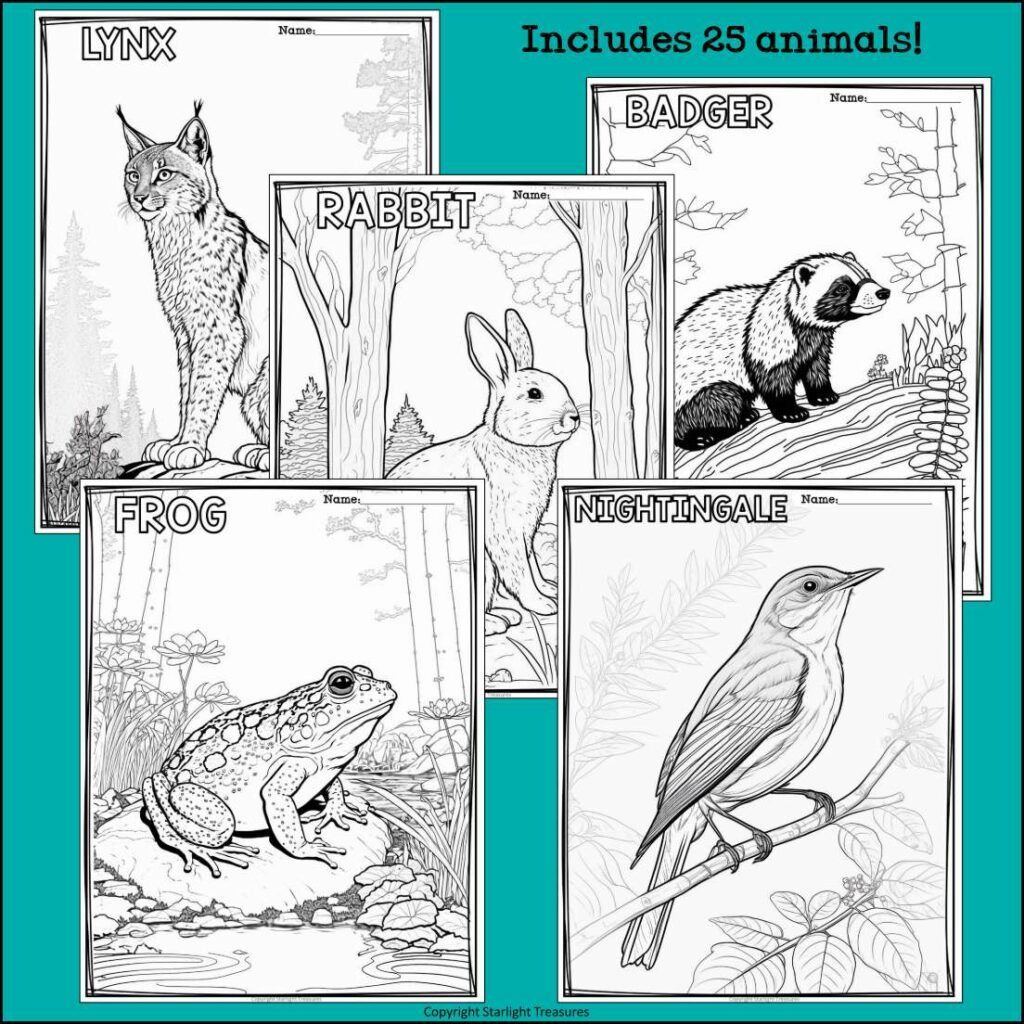 Woodland Animals Research Posters, Coloring Pages - Animal Research ...