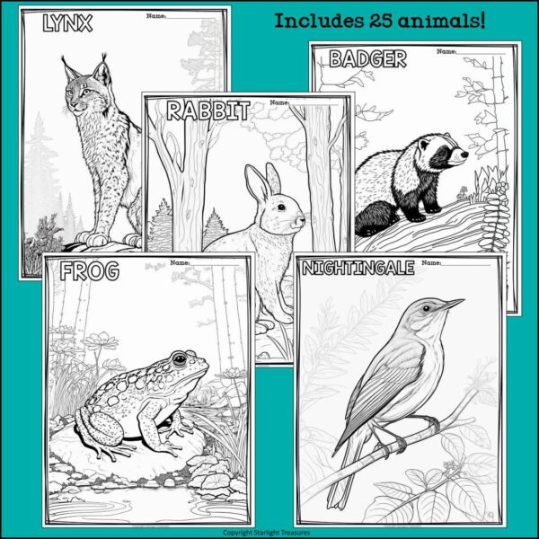 Woodland Animals Research Posters, Coloring Pages - Animal Research ...