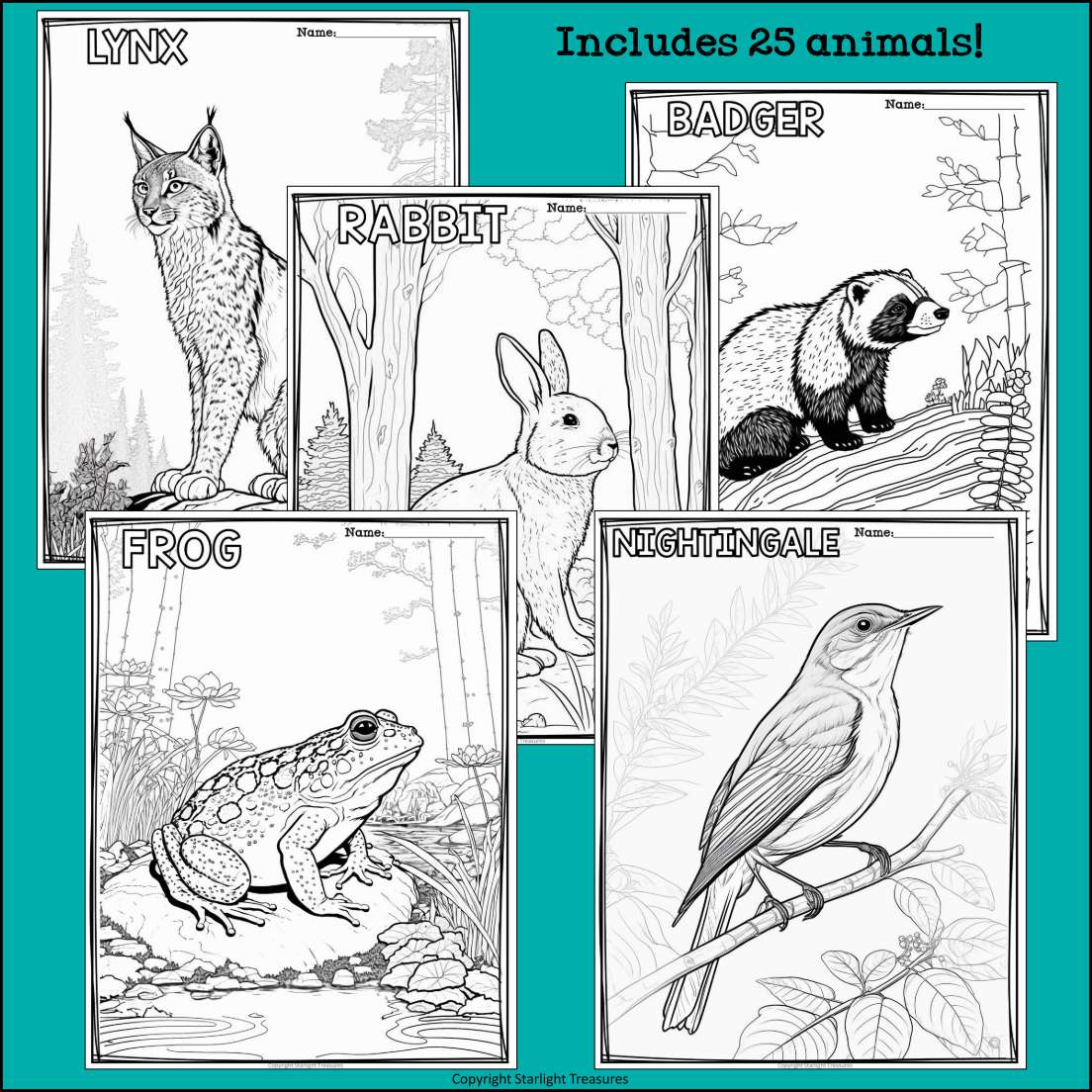 Woodland Animals Research Posters, Coloring Pages - Animal Research ...