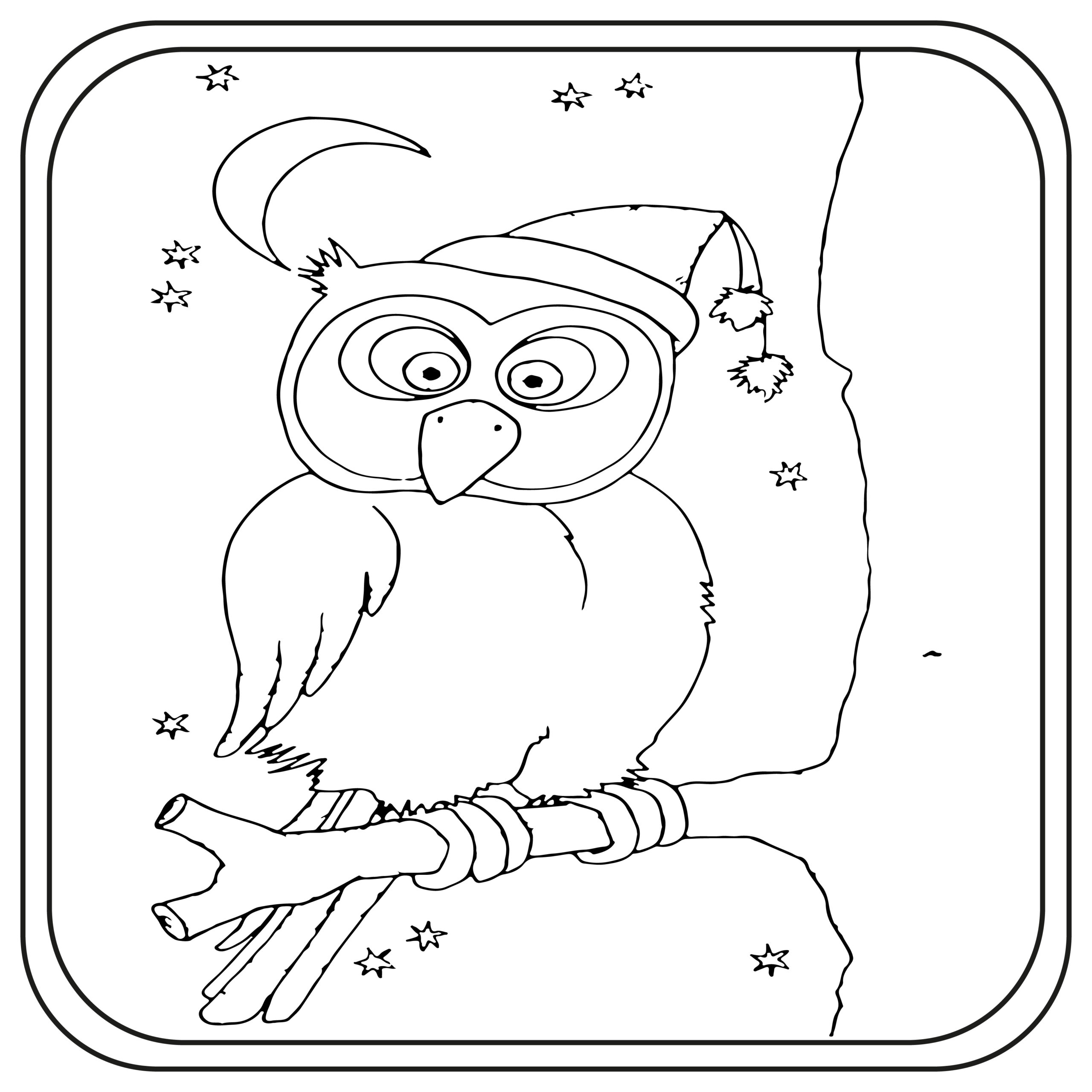 Hello owl Coloring Pages Preschool | Kindergarten | First Grade | Made ...