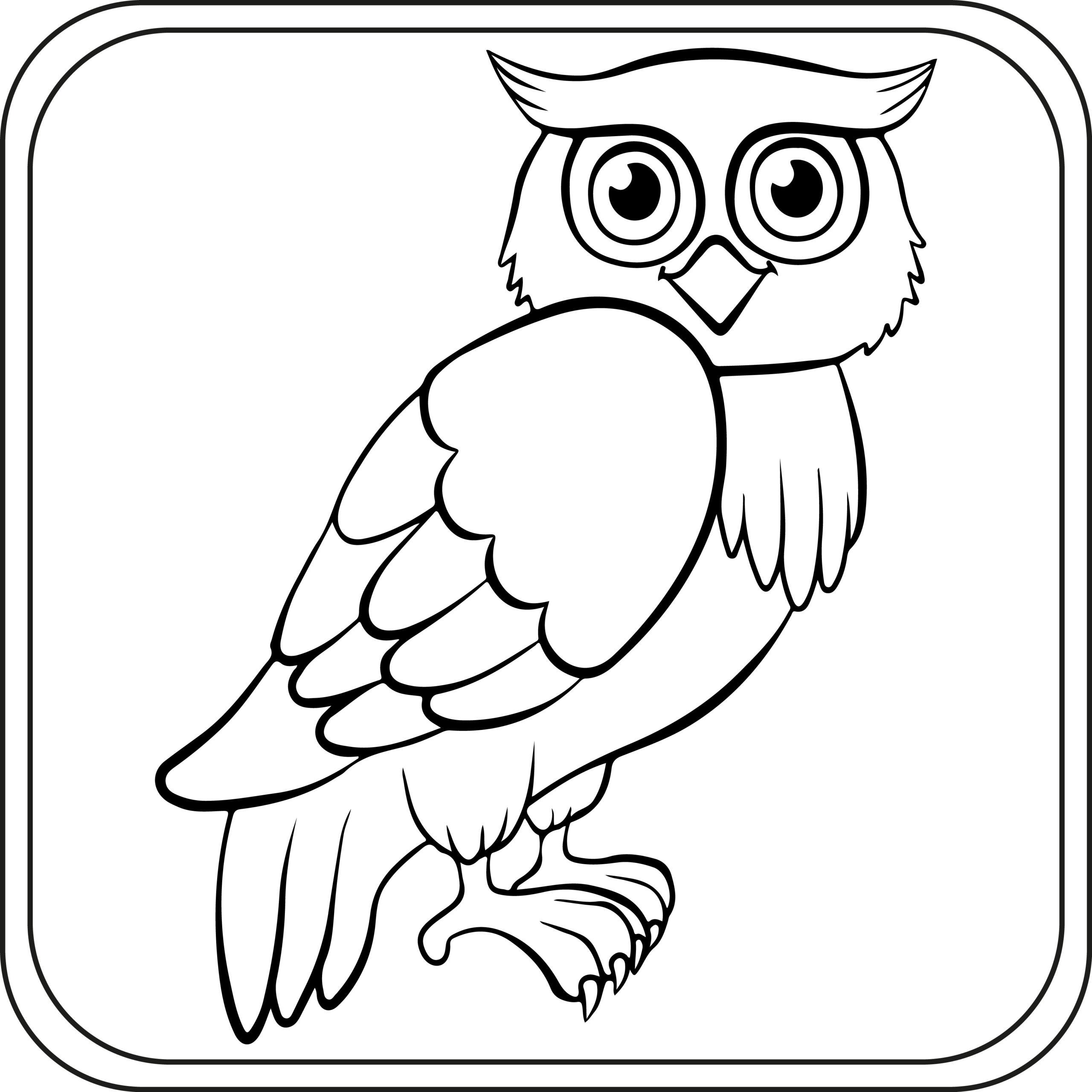 Hello owl Coloring Pages Preschool | Kindergarten | First Grade | Made ...