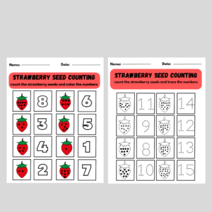 strawberry Seed Counting to 20 Worksheet,Kindergarten Morning Work ...