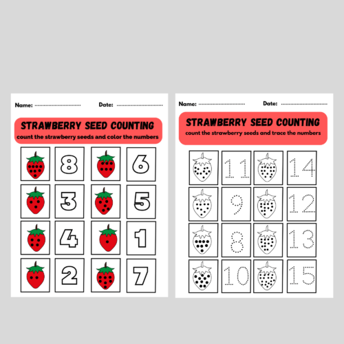 strawberry Seed Counting to 20 Worksheet,Kindergarten Morning Work ...