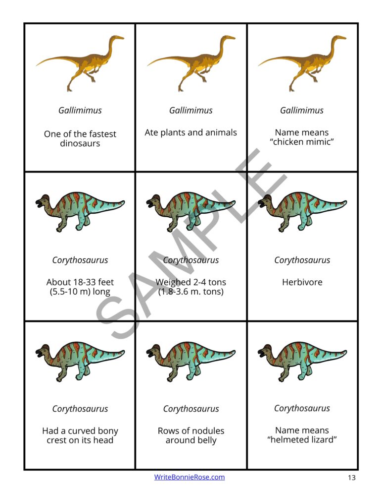 Types of Dinosaurs Card Game | Made By Teachers
