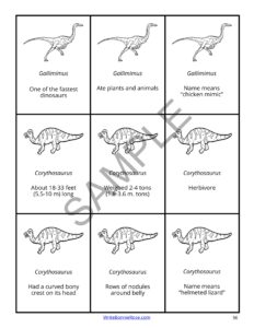 Types of Dinosaurs Card Game | Made By Teachers