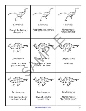 Types of Dinosaurs Card Game | Made By Teachers