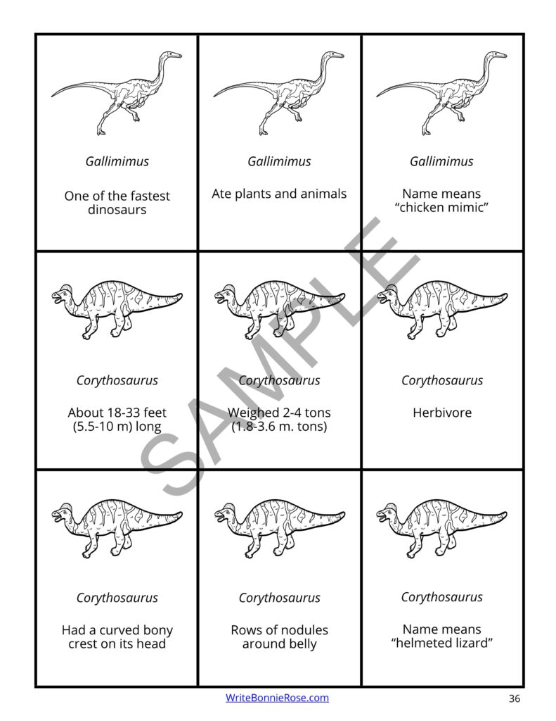 Types of Dinosaurs Card Game | Made By Teachers