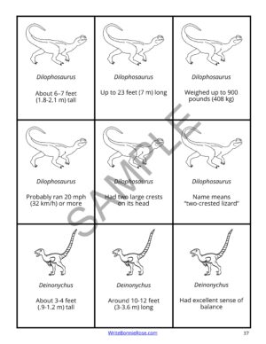 Types of Dinosaurs Card Game | Made By Teachers