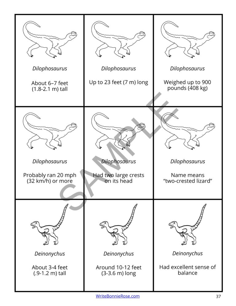 Types of Dinosaurs Card Game | Made By Teachers