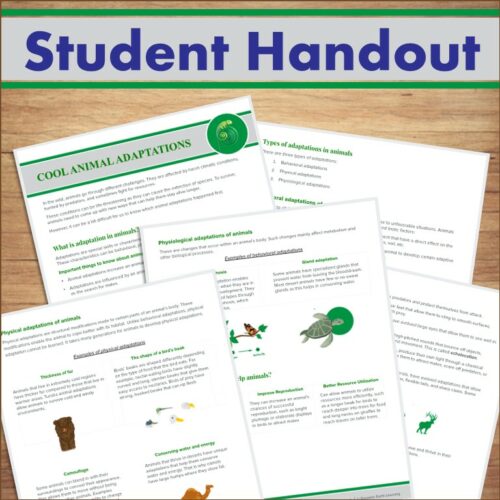 Cool Animal Adaptations | Video, Handout, and Worksheets | Made By Teachers