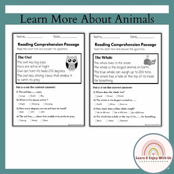 1st Grade Reading Comprehension Passages And Questions About Animals ...