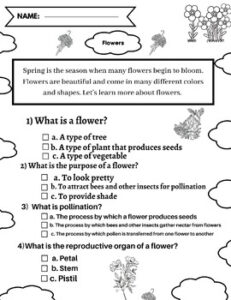 Spring Reading Comprehension Passages , Spring Reading Comprehension ...