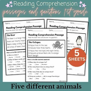 1st-2nd Grade Reading Comprehension Passages And Questions BUNDLE About ...