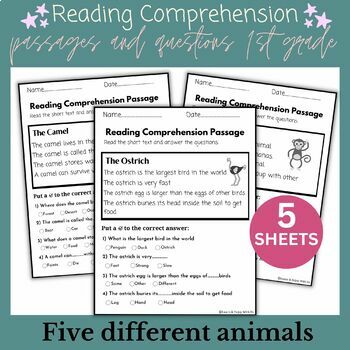 1st-2nd Grade Reading Comprehension Passages And Questions BUNDLE About ...