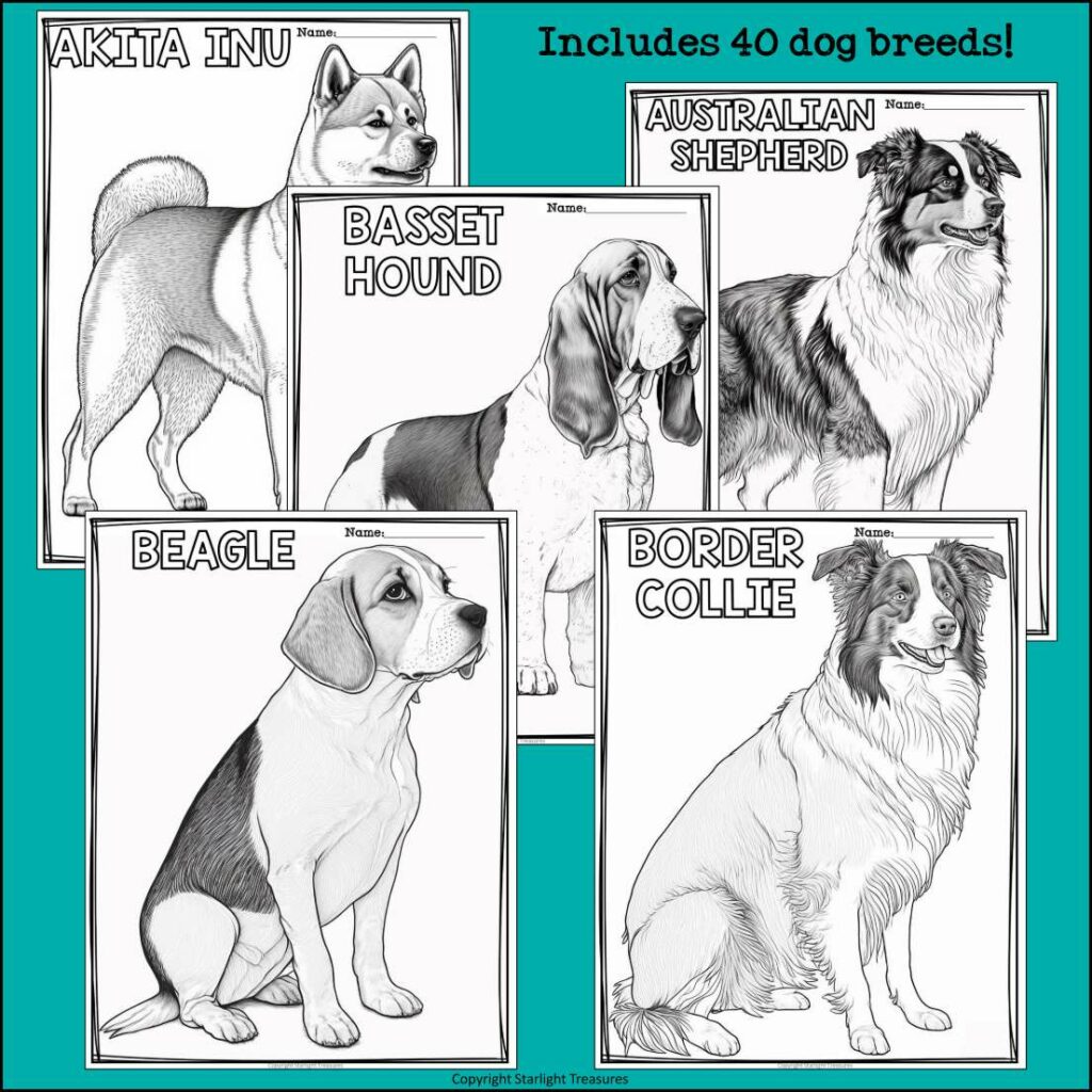 Dog Breeds Research Posters, Coloring Pages - Animal Research Project ...