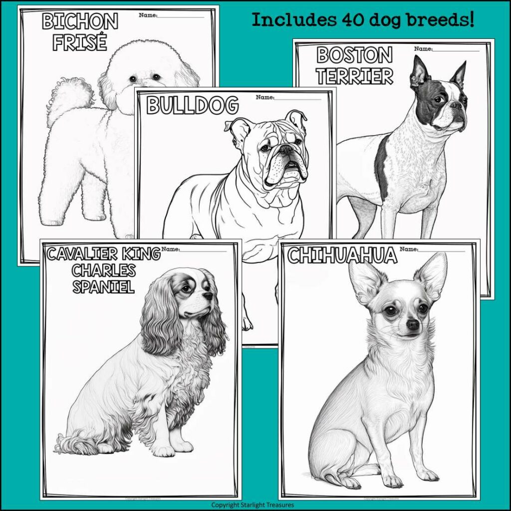 Dog Breeds Research Posters, Coloring Pages - Animal Research Project ...