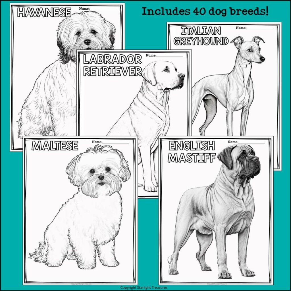 Dog Breeds Research Posters, Coloring Pages - Animal Research Project ...