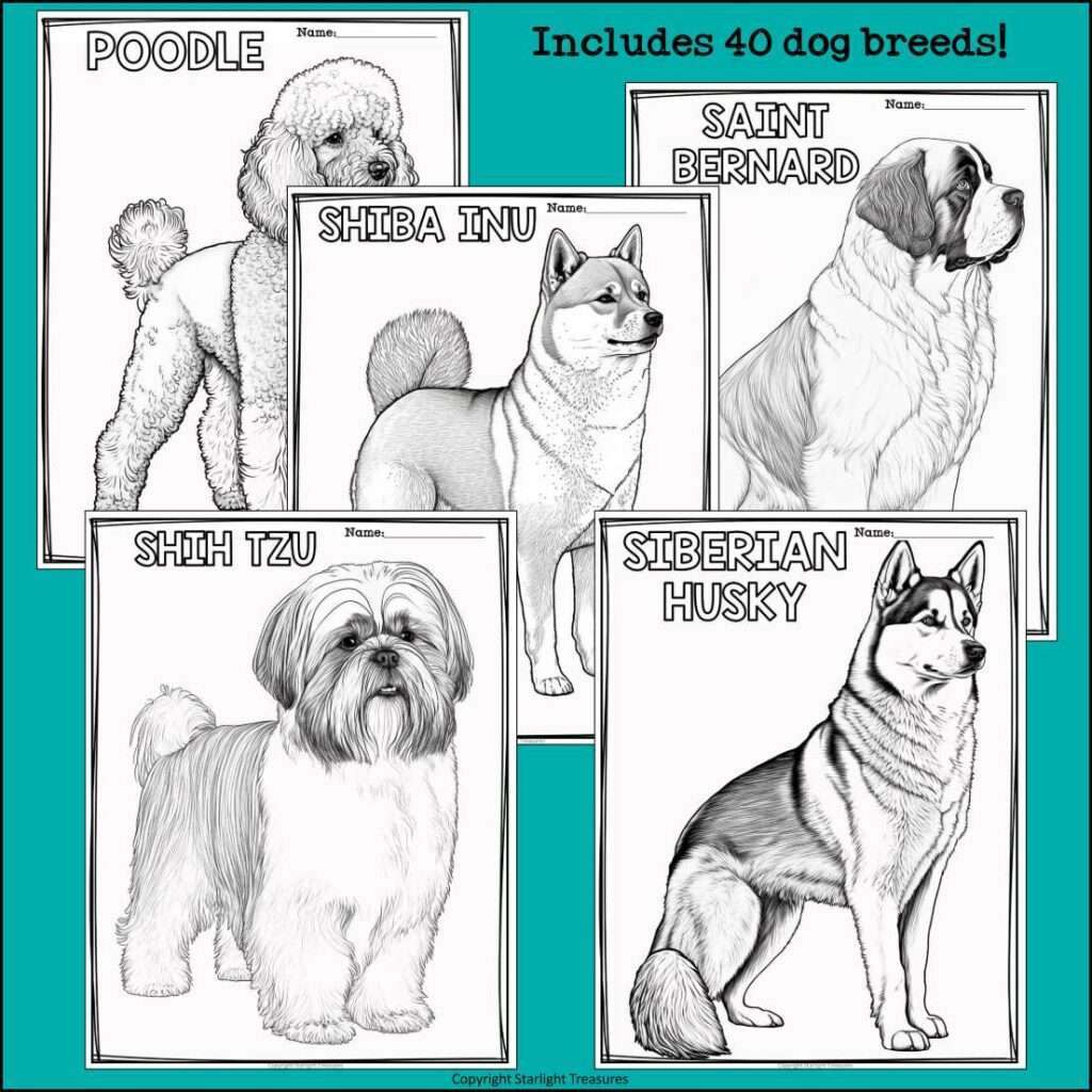 Dog Breeds Research Posters, Coloring Pages - Animal Research Project ...