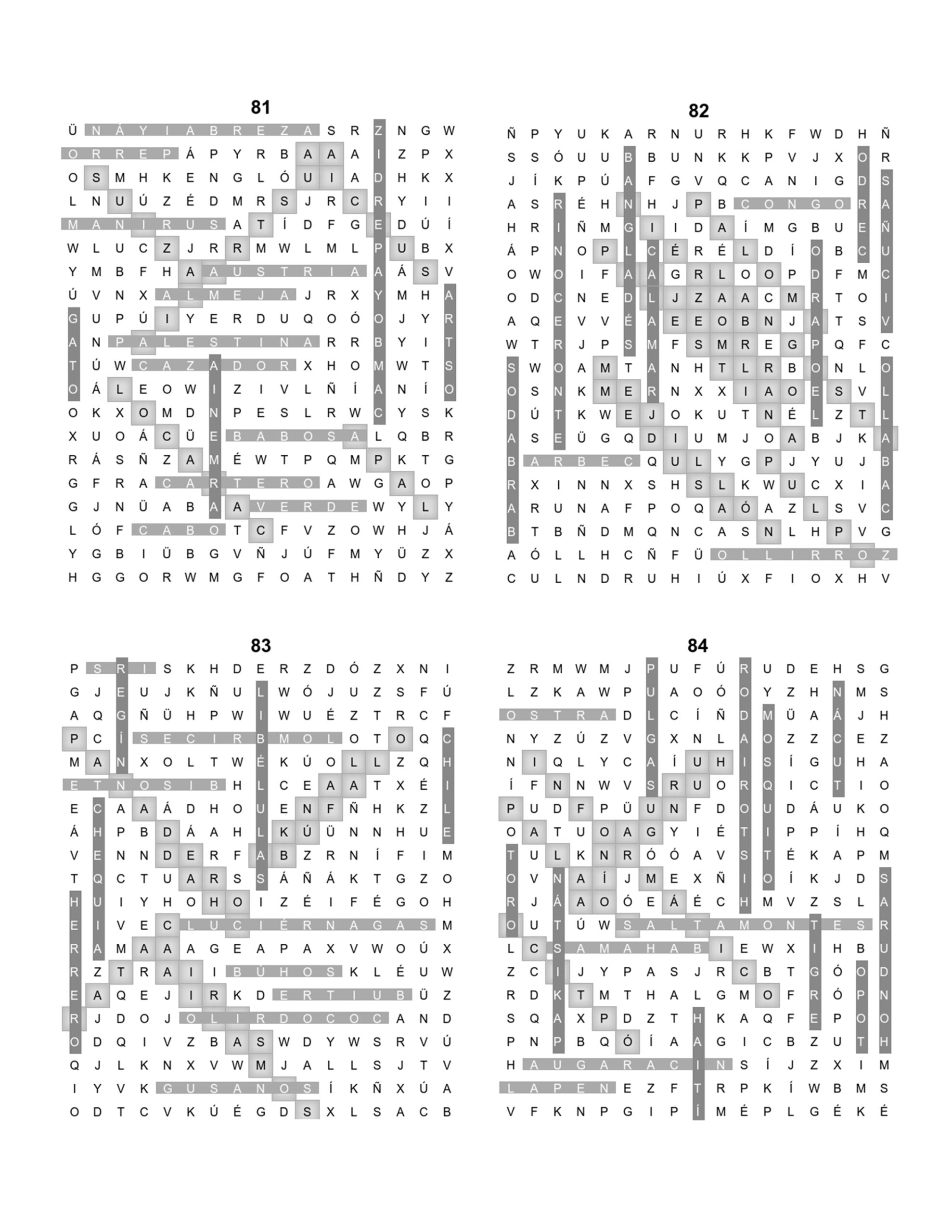 Challenging Spanish Word Search Workbook with Solutions | Made By Teachers