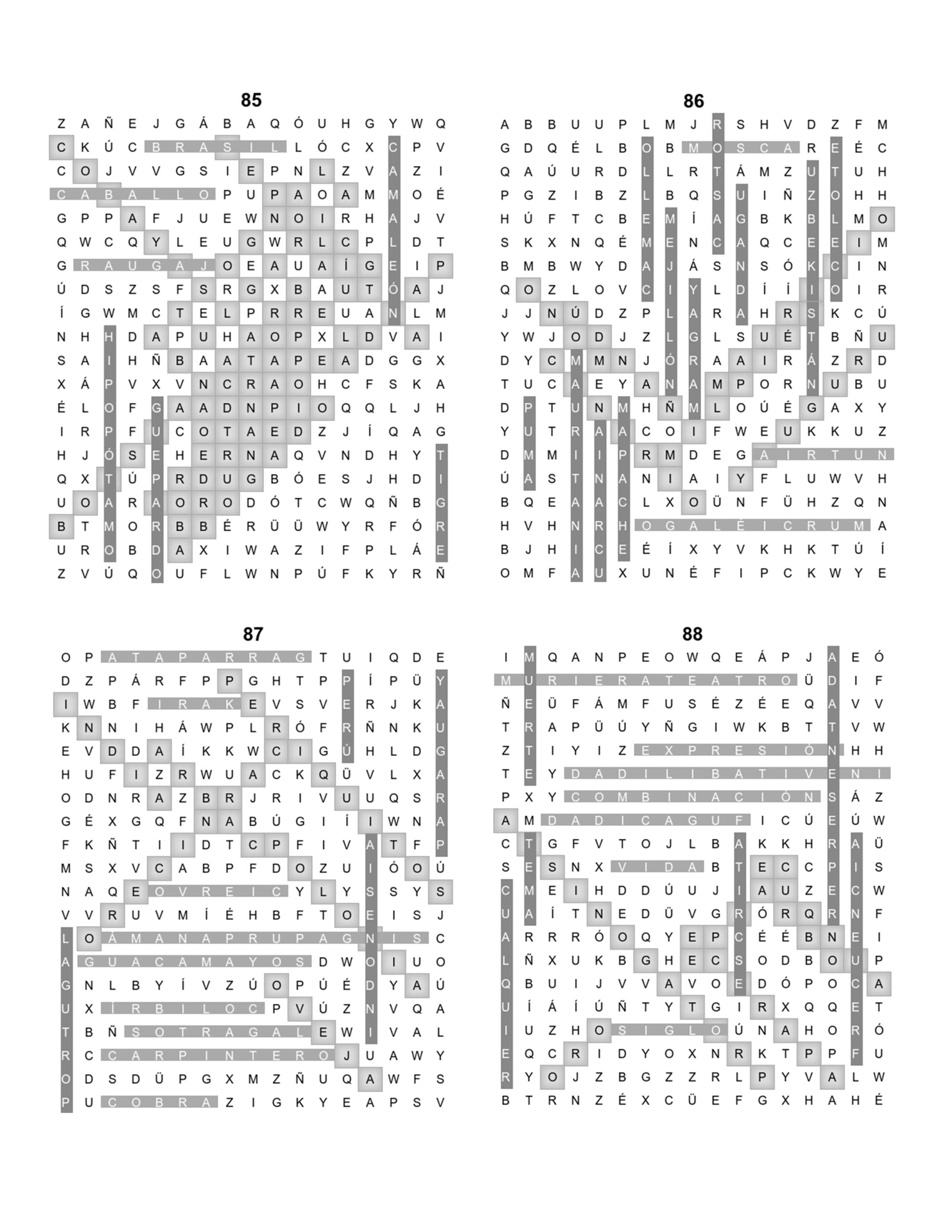 Challenging Spanish Word Search Workbook with Solutions | Made By Teachers