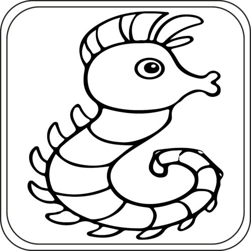 ocean animals Coloring Pages Preschool | Kindergarten | First Grade ...