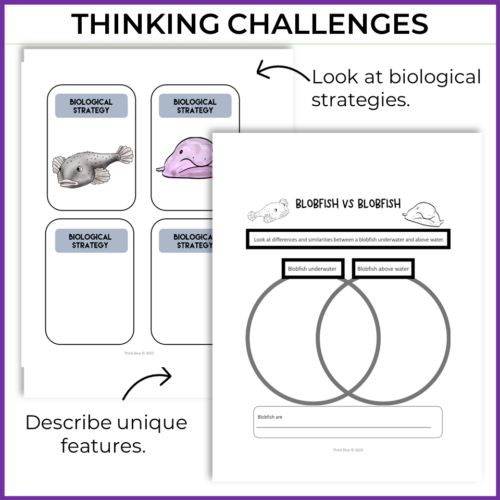 Animal Superpower Report Blobfish | PBL STEAM Biomimicry Design | Made ...