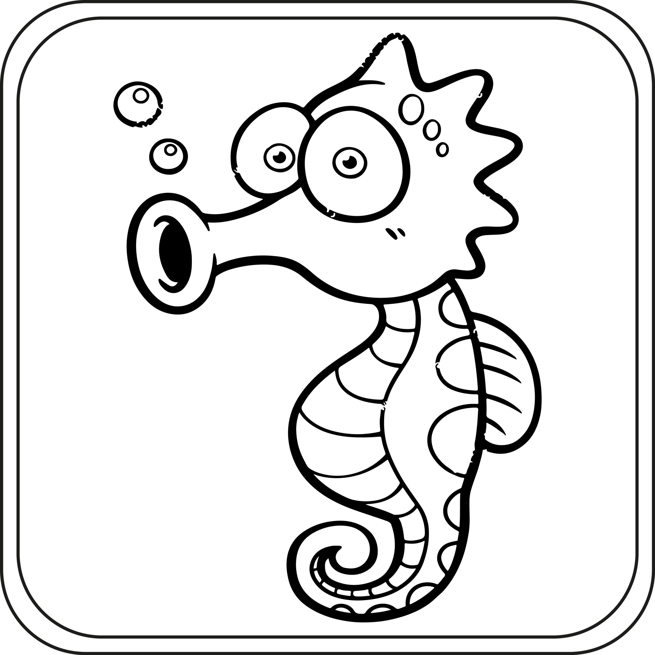 seahorse Coloring Pages Preschool | Kindergarten | First Grade | Made ...