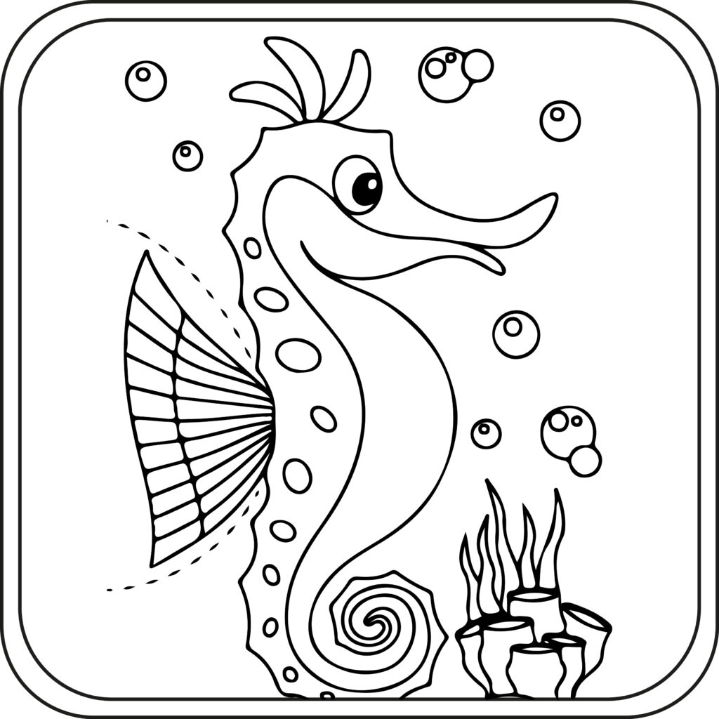 seahorse Coloring Pages Preschool | Kindergarten | First Grade | Made ...