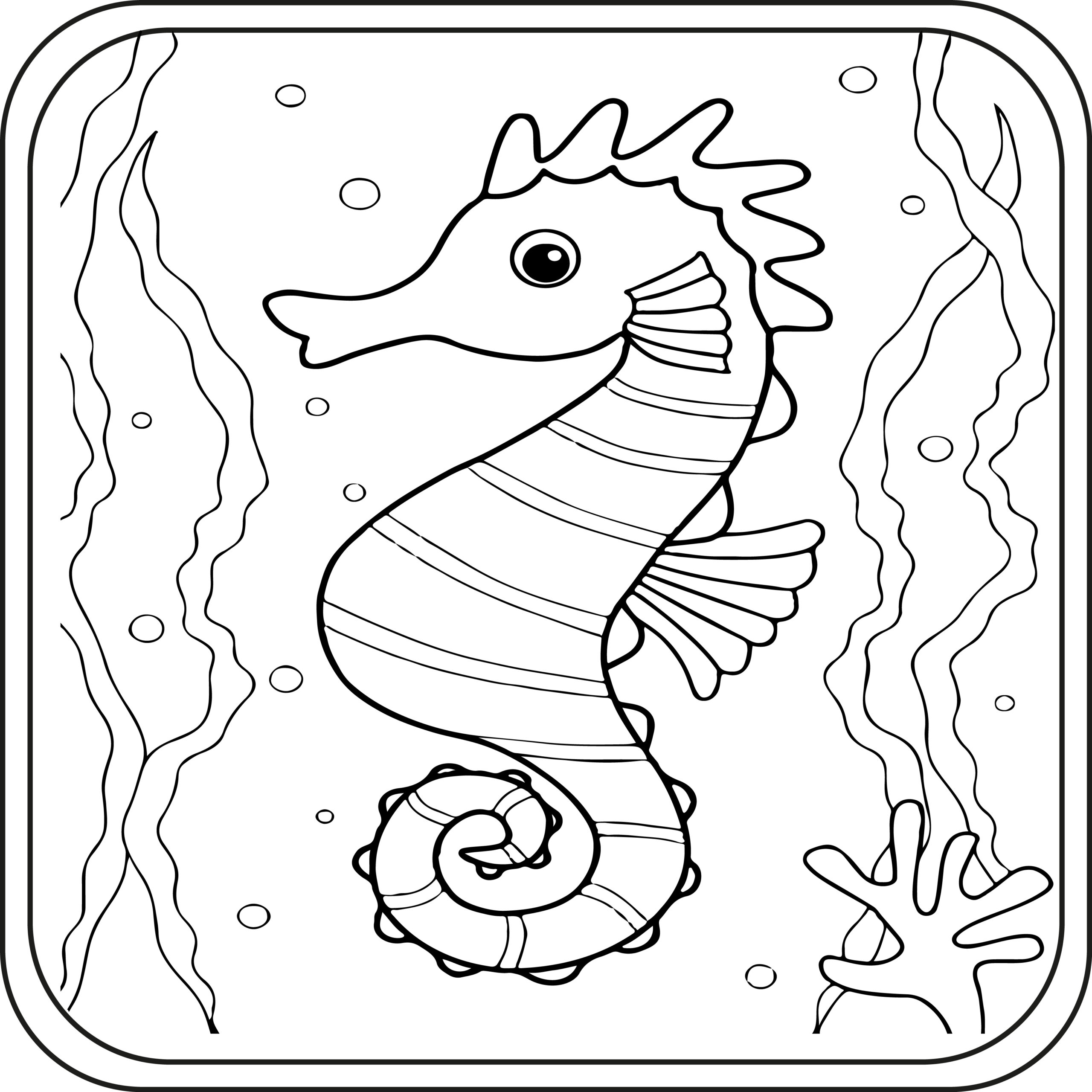 seahorse Coloring Pages Preschool | Kindergarten | First Grade | Made ...