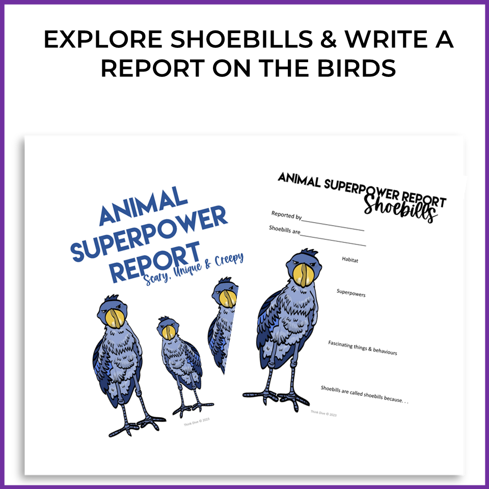 Animal Superpower Report Bundle | PBL STEAM Biomimicry Design | Made By ...