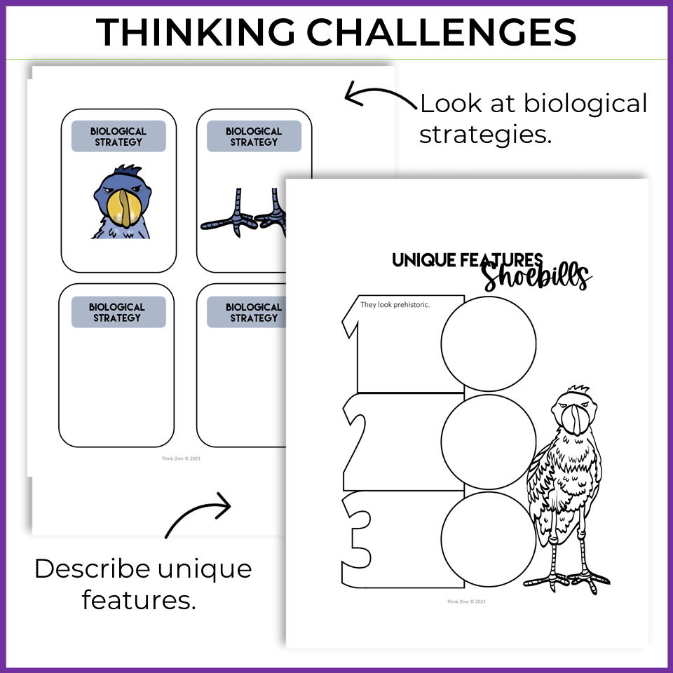Animal Superpower Report Bundle | PBL STEAM Biomimicry Design | Made By ...
