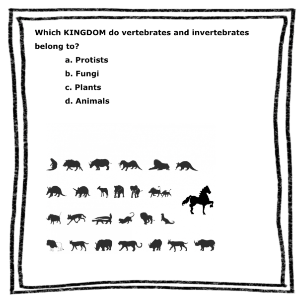VERTEBRATES UNIT: QUIZ WITH ANSWERS | Made By Teachers