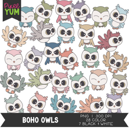 Boho Owl Clipart - Bird Clip Art - Commercial Use OK | Made By Teachers