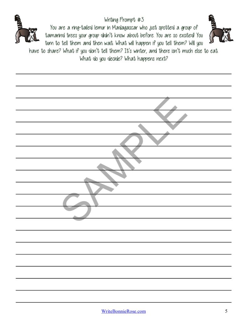 Writing Prompts About Rain Forests | Made By Teachers