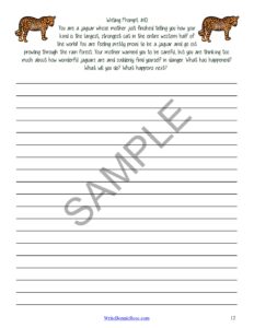 Writing Prompts About Rain Forests | Made By Teachers