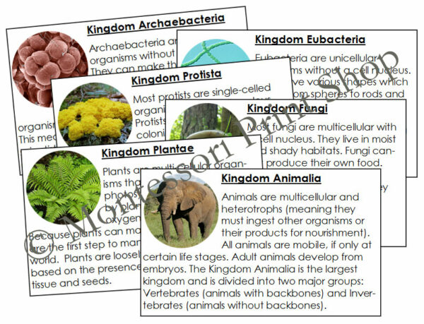 Six Kingdoms of Life - Information Cards | Made By Teachers
