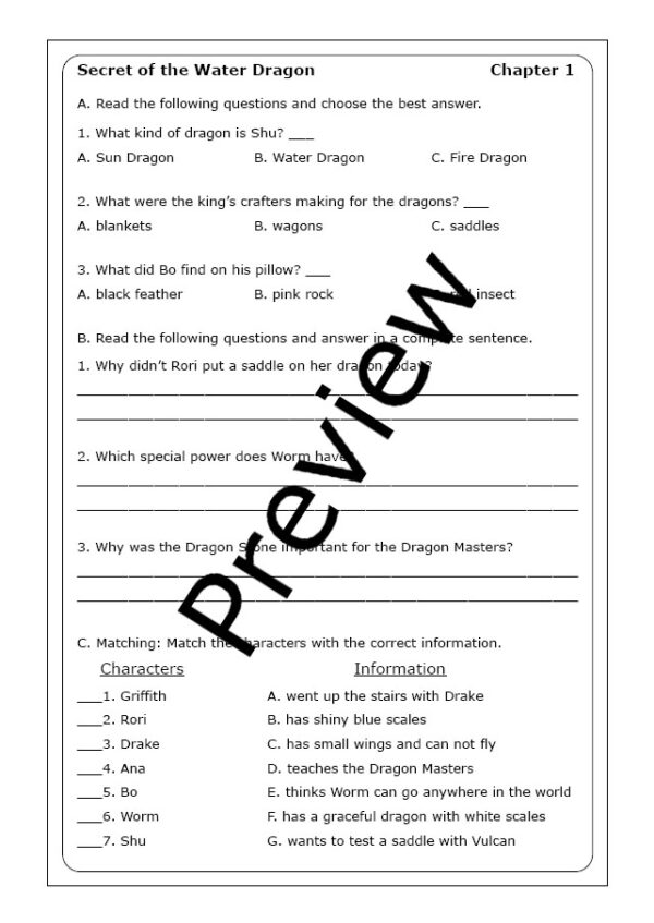 Tracey West "Secret of the Water Dragon" worksheets | Made By Teachers