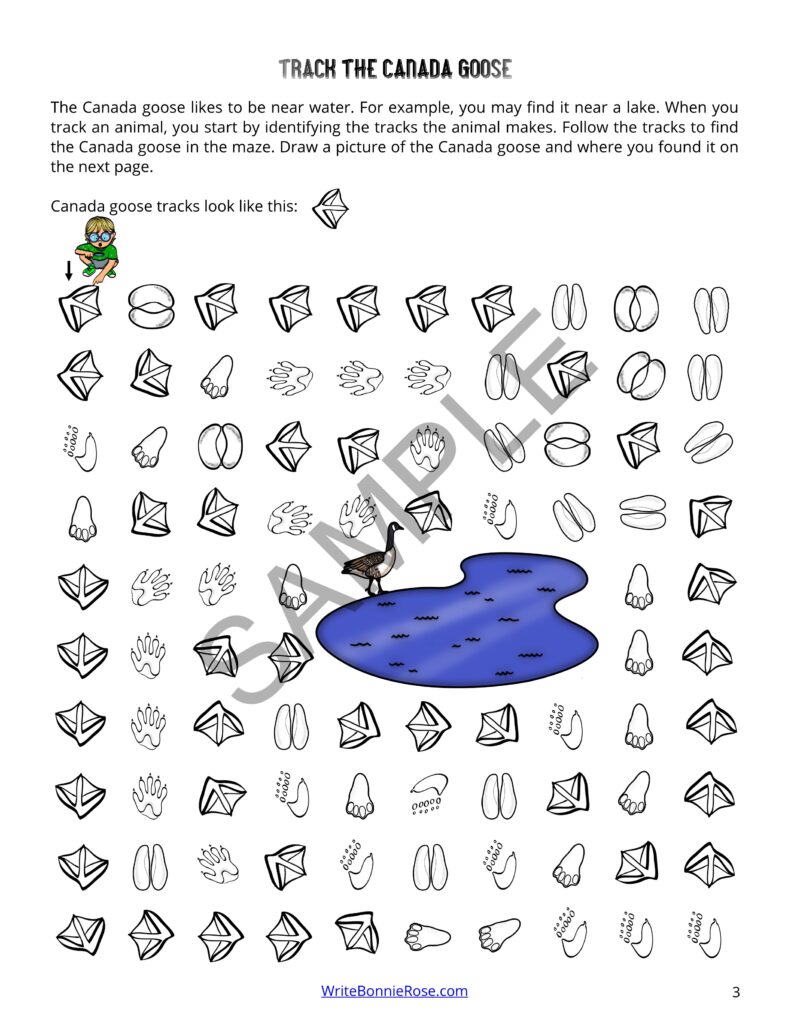 Camping Fun Activity Pack | Made By Teachers
