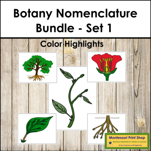 Botany Nomenclature Bundle (Set #1) - Montessori | Made By Teachers