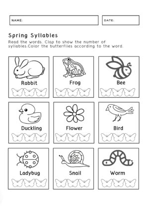 Spring Syllables Worksheets | Made By Teachers
