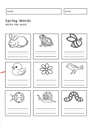 Spring Syllables Worksheets | Made By Teachers