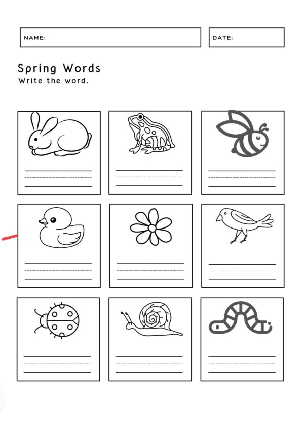 Spring Syllables Worksheets | Made By Teachers
