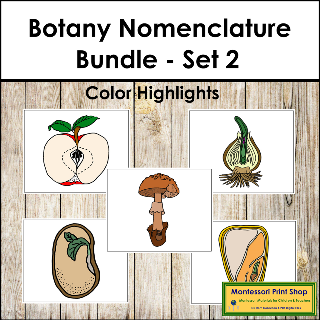 Botany Nomenclature Bundle (Set #2) - Montessori | Made By Teachers