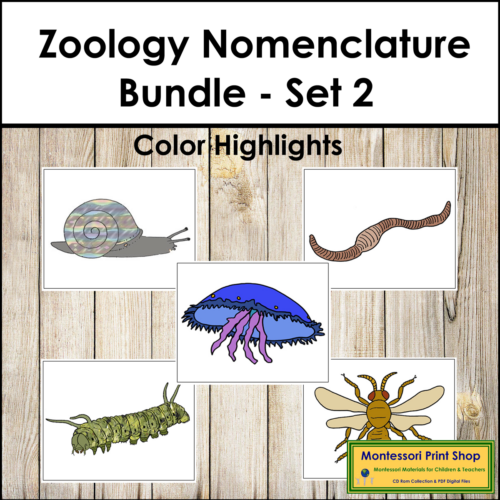 Zoology Nomenclature Bundle (Set #2) - Montessori | Made By Teachers
