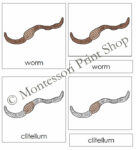 Zoology Nomenclature Bundle (Set #2) - Montessori | Made By Teachers