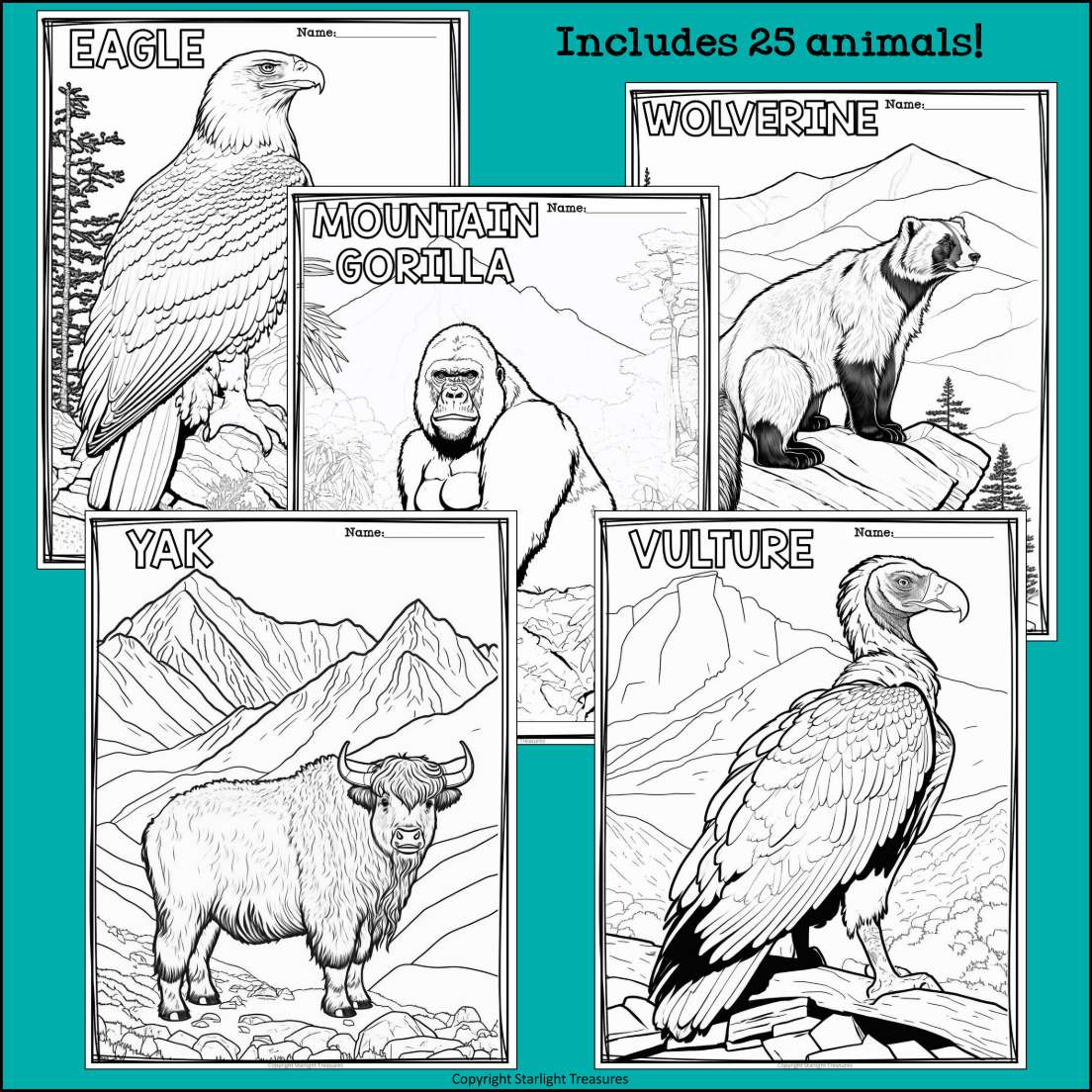 Mountain Animals Research Posters, Coloring Pages - Animal Research ...