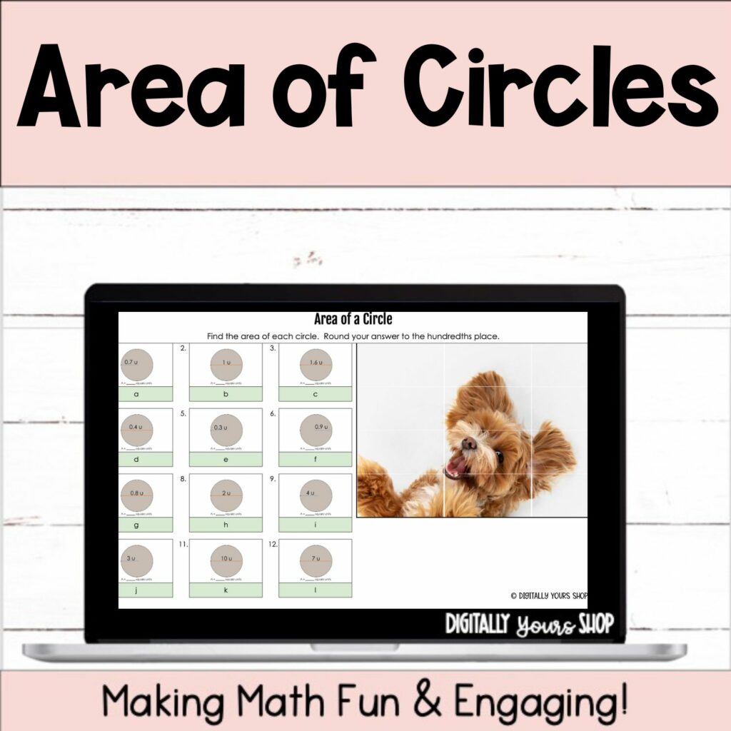 Area of Circles Digital Self-Checking Activity | Made By Teachers