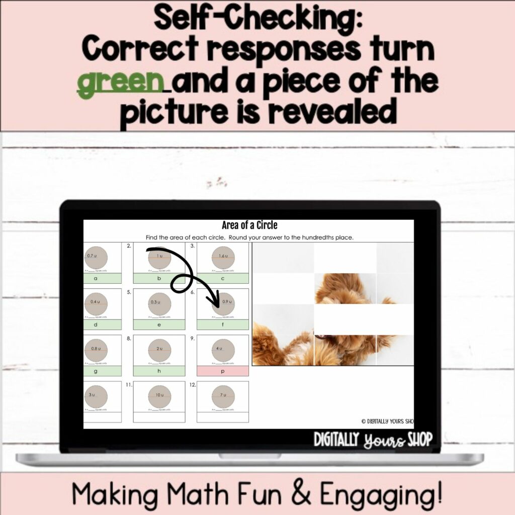 Area of Circles Digital Self-Checking Activity | Made By Teachers
